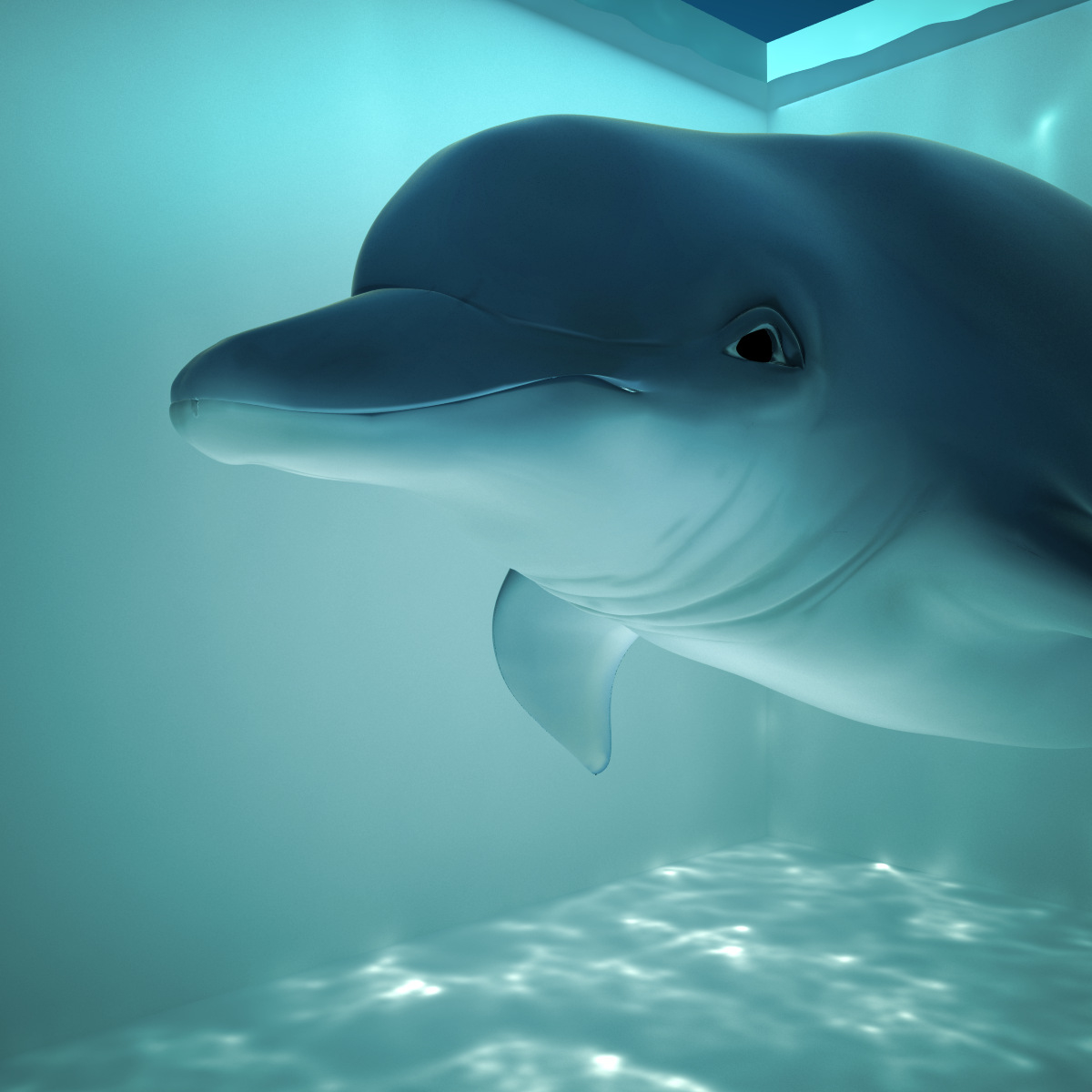 dolphin animation flippers 3d max
