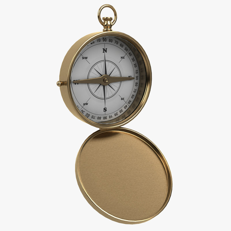 3d compass model