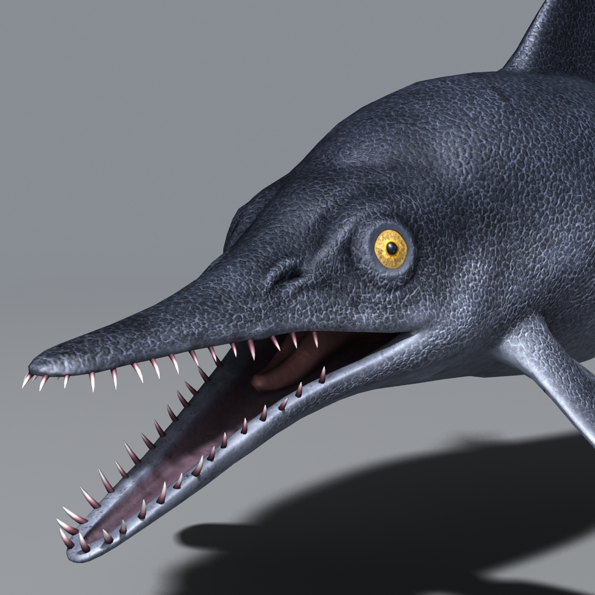 ichthyosaurs triassic cretaceous 3d max