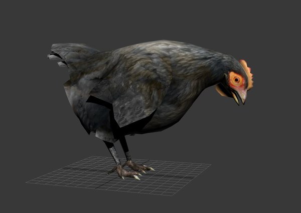 maya chicken rooster