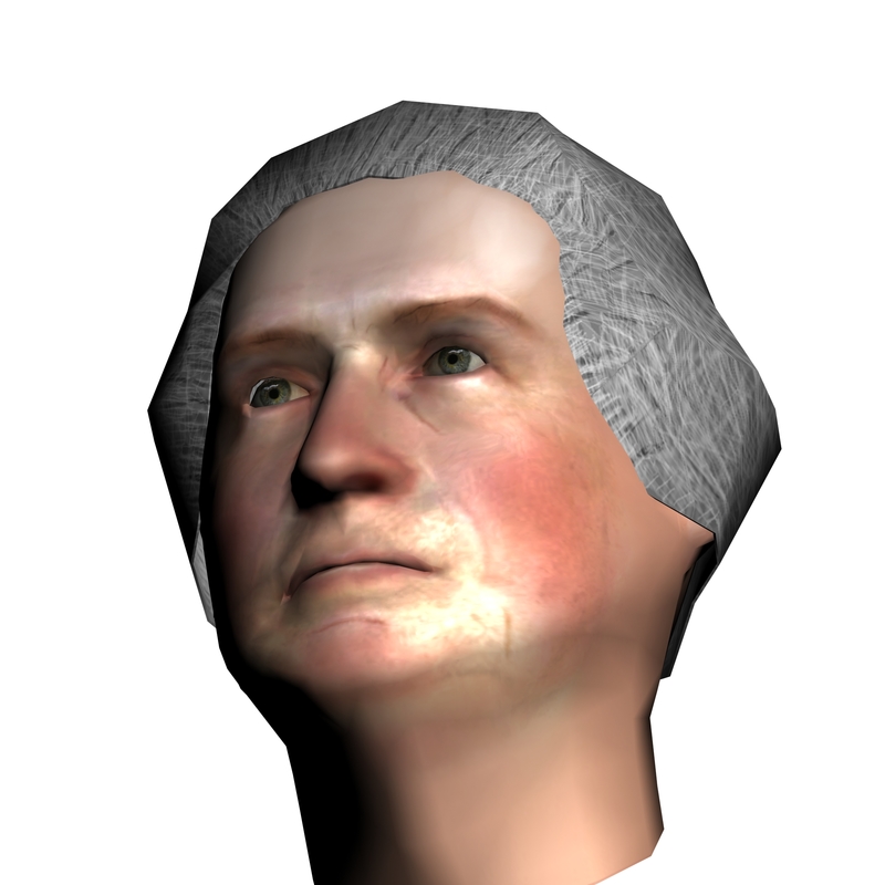 george washington 3d max
