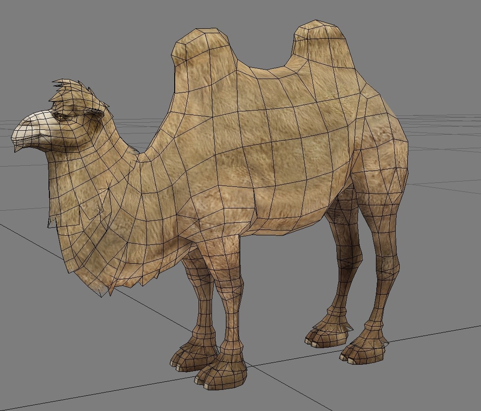 camel 3d max