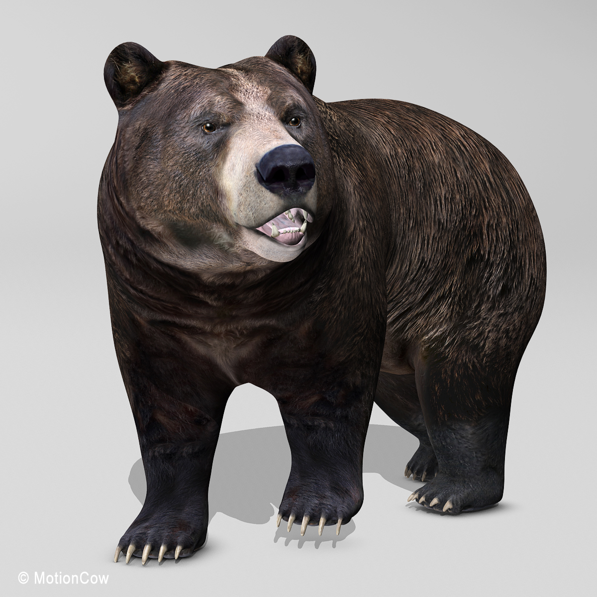 realistic brown 3d model