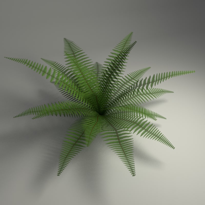 fern blender 3d 3ds