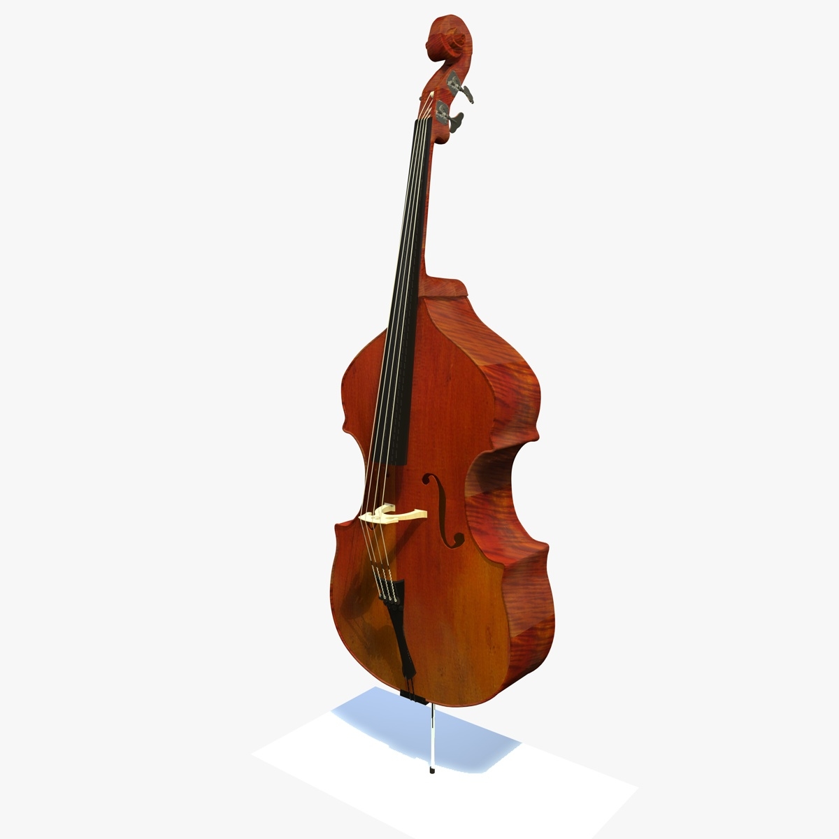 3d model matt bass musical instrument