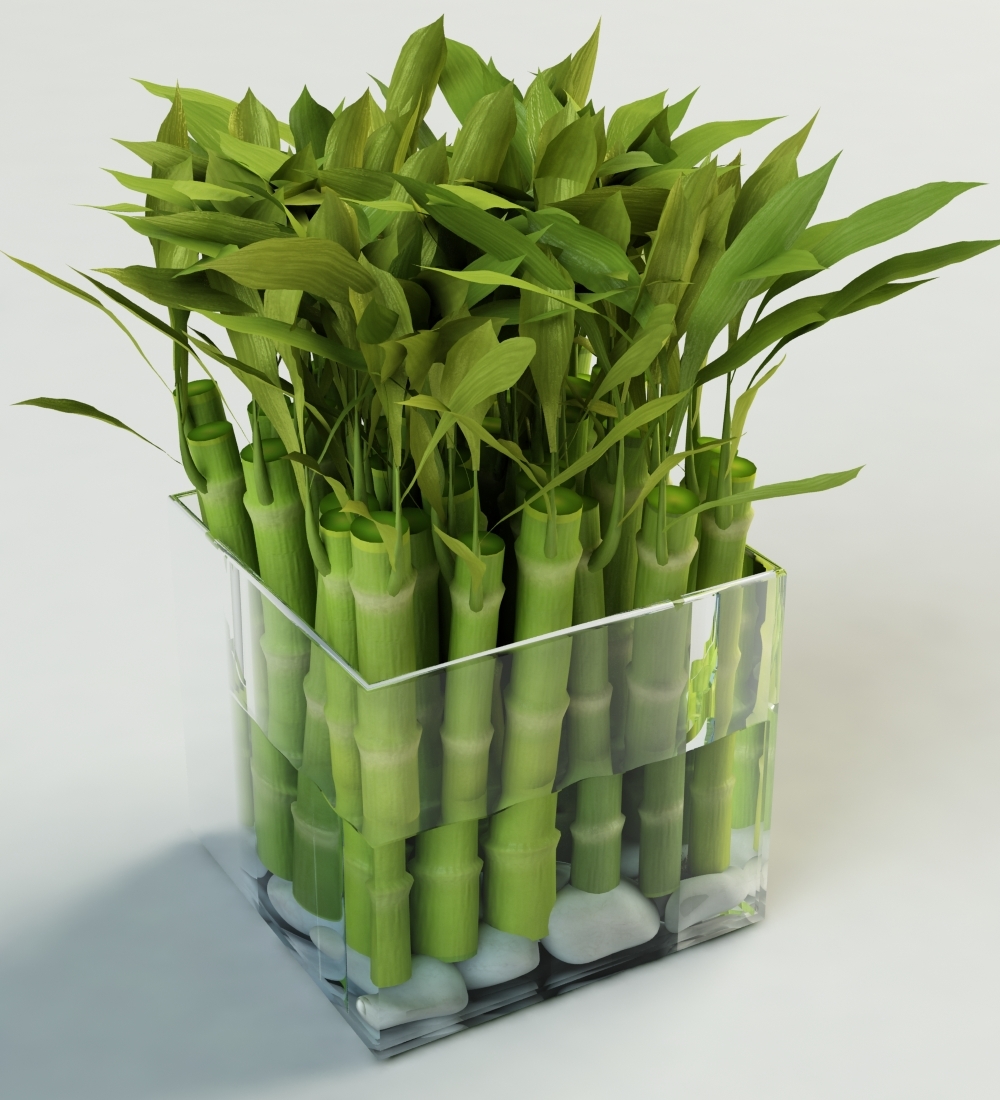 3d bamboo vase model