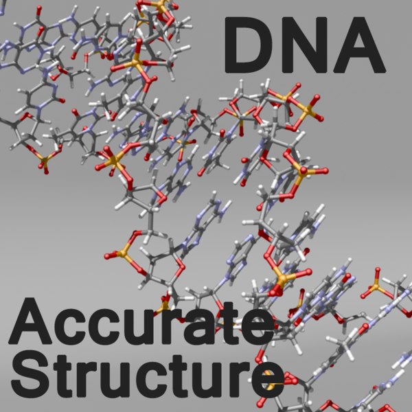nucleobase guanine dna 3d model