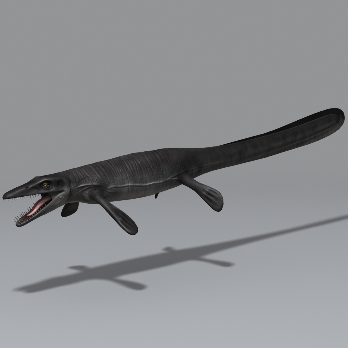 3d model marine dinosaur tylosaurus