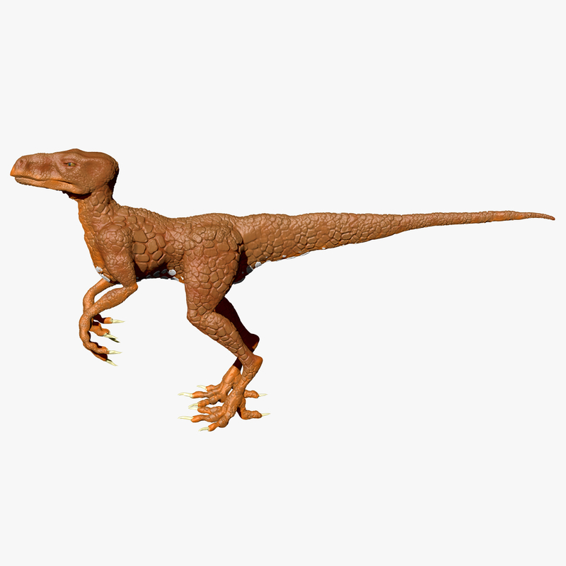3d model raptor lizard predator