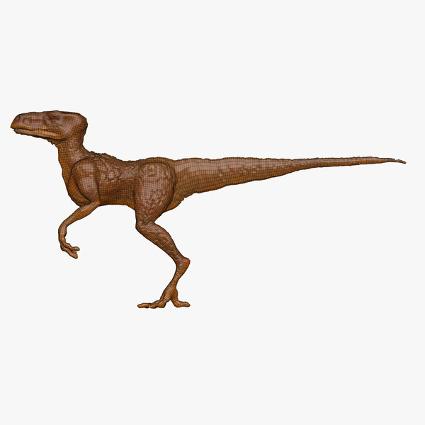 3d model raptor lizard predator