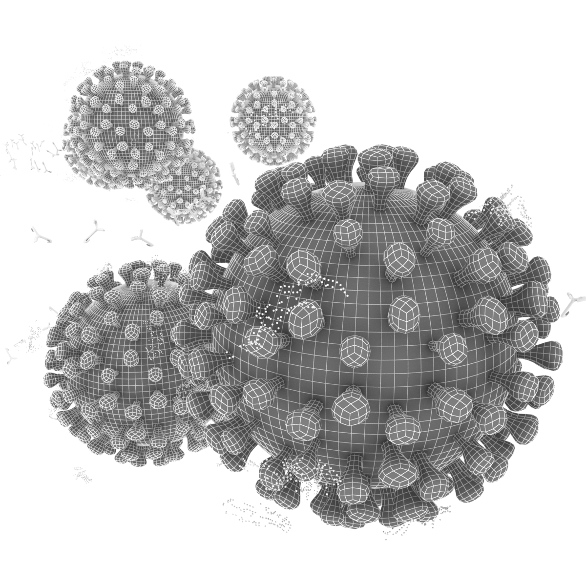 virus 3d model