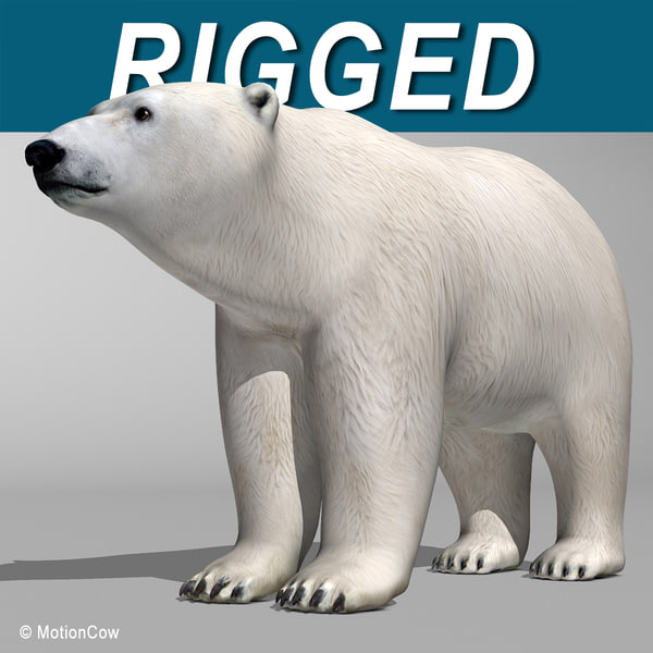 3D bear rig model - TurboSquid 1182391
