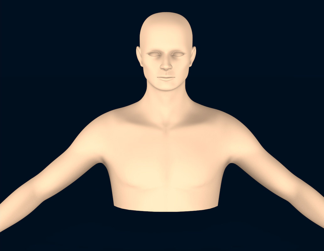 male torso max