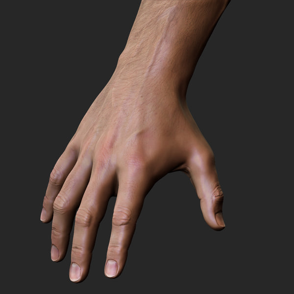 realistic male body character max