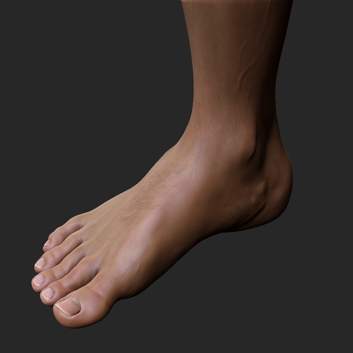 realistic male body character max