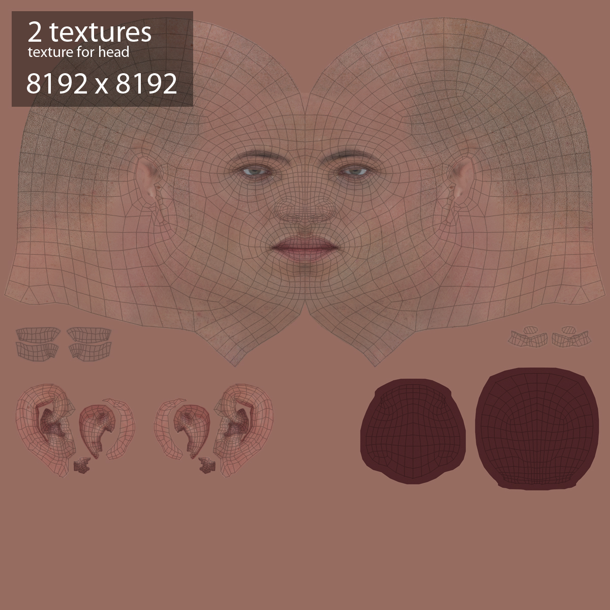 realistic male body character max