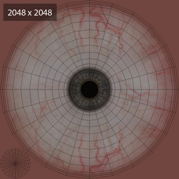 realistic male body character max