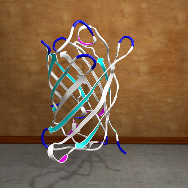 green fluorescent protein gfp 3d model