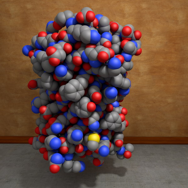 green fluorescent protein gfp 3d model