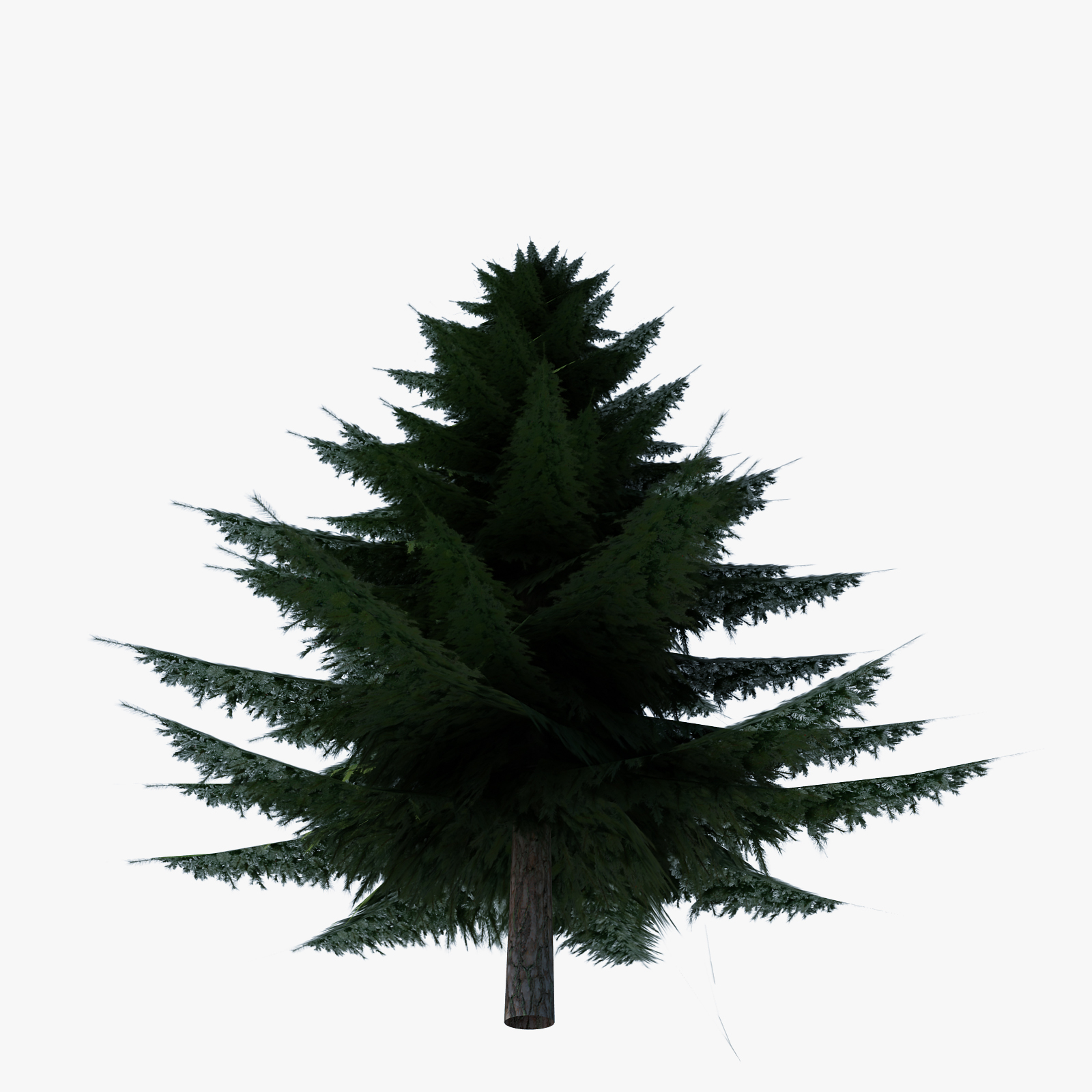 3d pine tree model