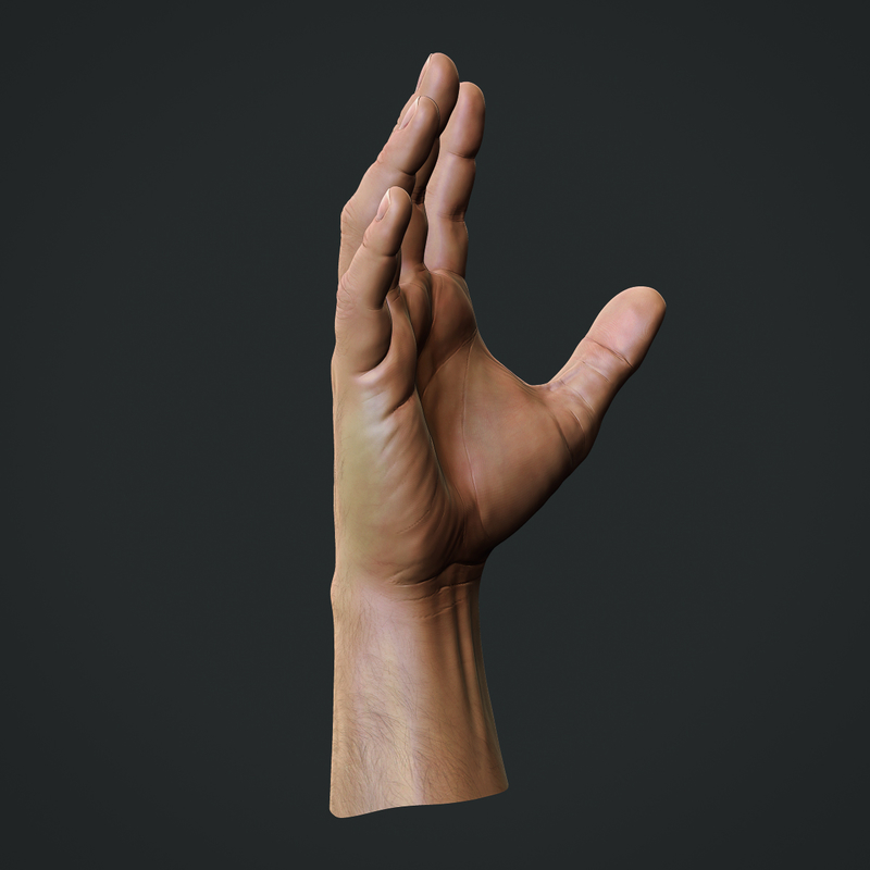 realistic male hand obj