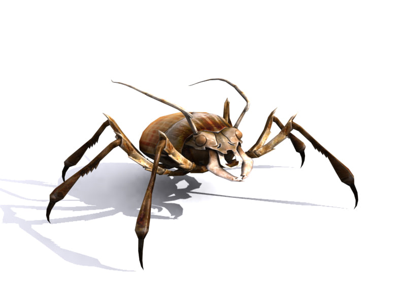 3d bug character model