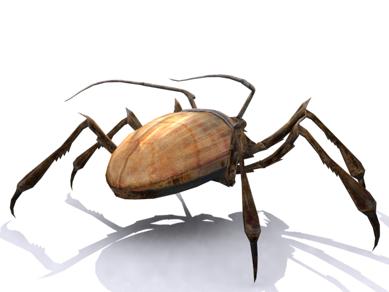 3d bug character model