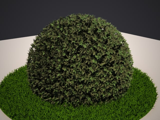 3d bush model