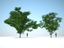 trees arch gpu 3d max