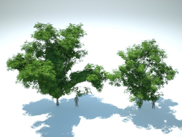 trees arch gpu 3d max