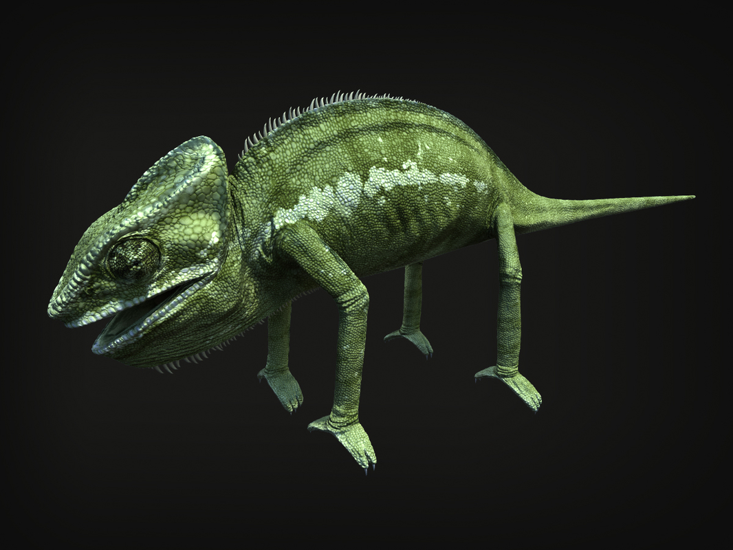3d model chameleon tongue