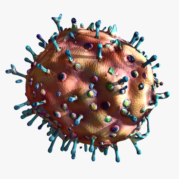 modelo 3d Bornavirus - TurboSquid 708553