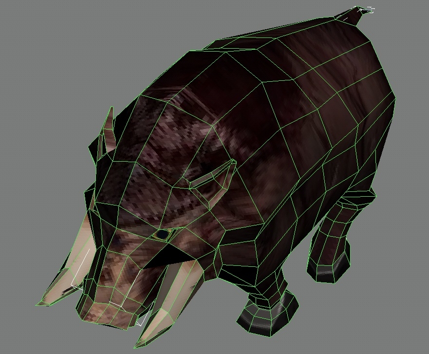 free max model boar