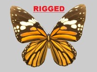 Butterfly 3D Models for Download | TurboSquid