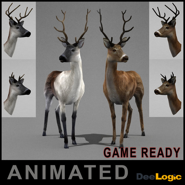 deer ged animations 3d max