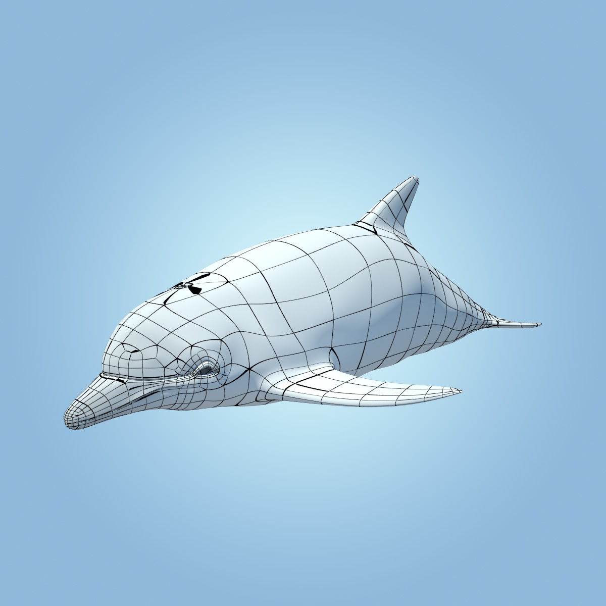 dolphin 3d model