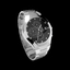 3d astron watch