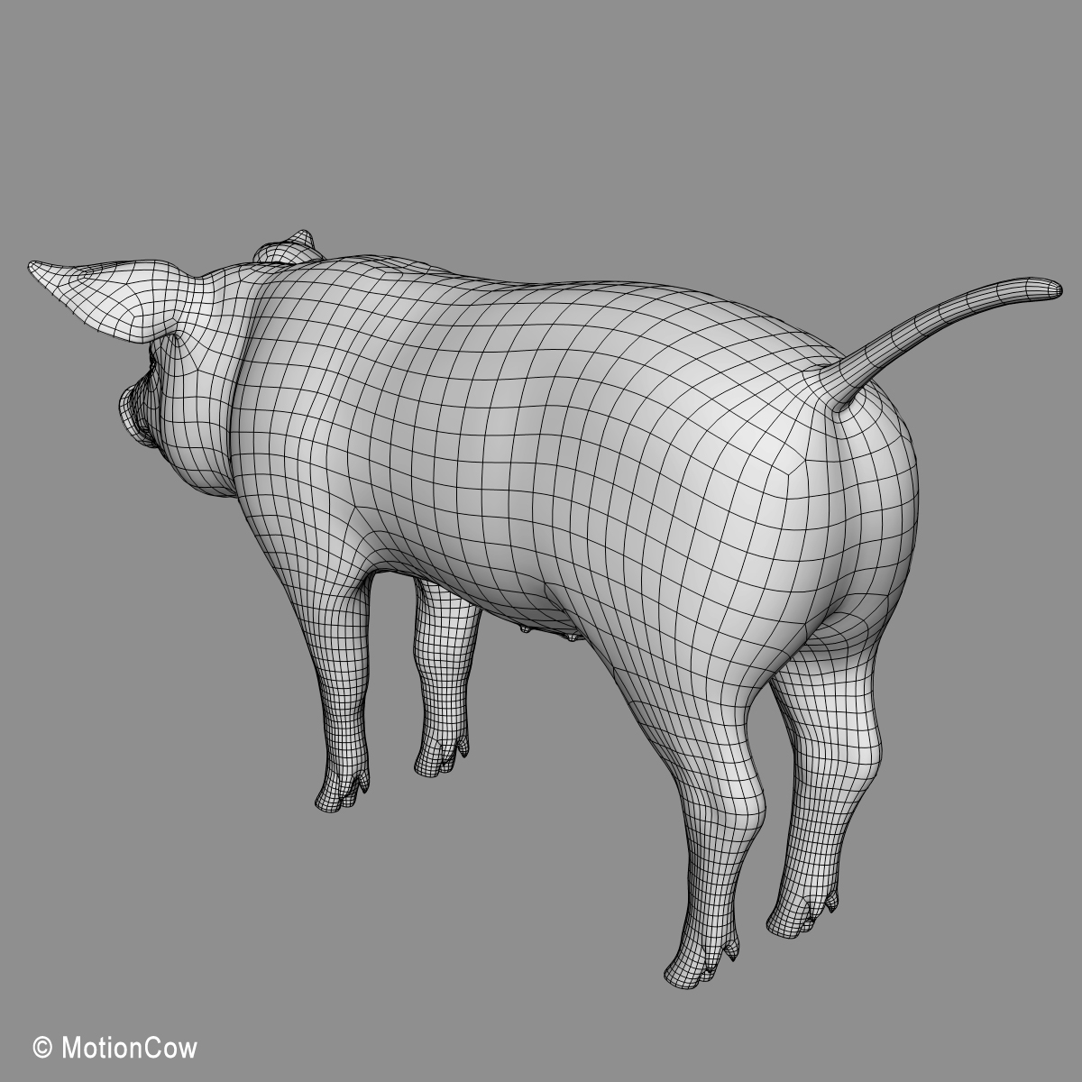 3d model animation pig