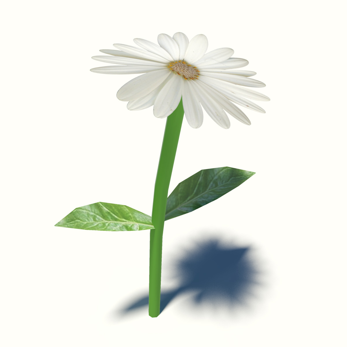 daisy 3d model