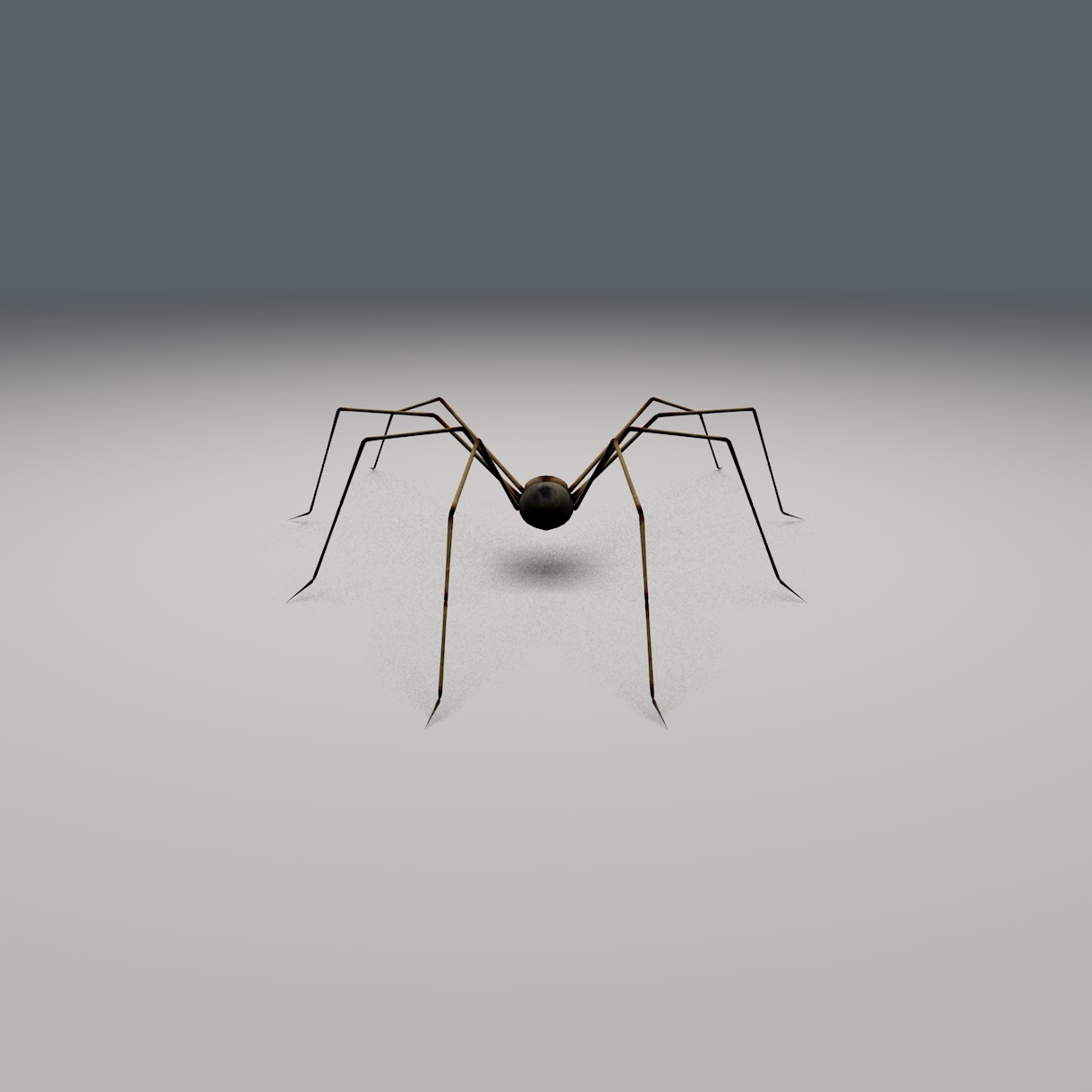 daddy long legs 3d model