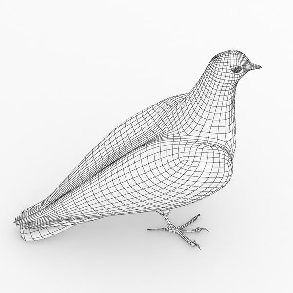3d model dove