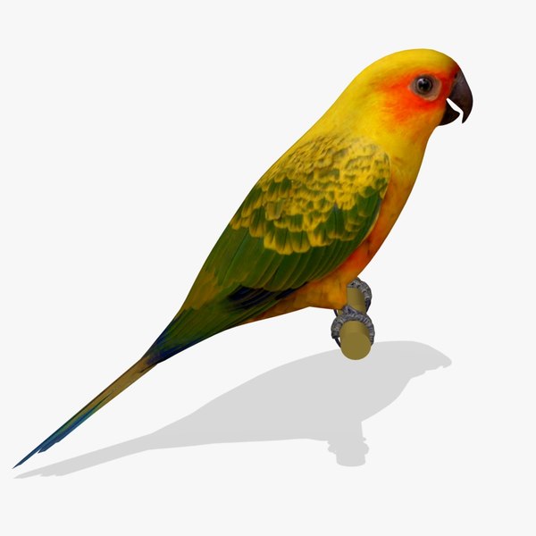 sun parakeet ab 3ds