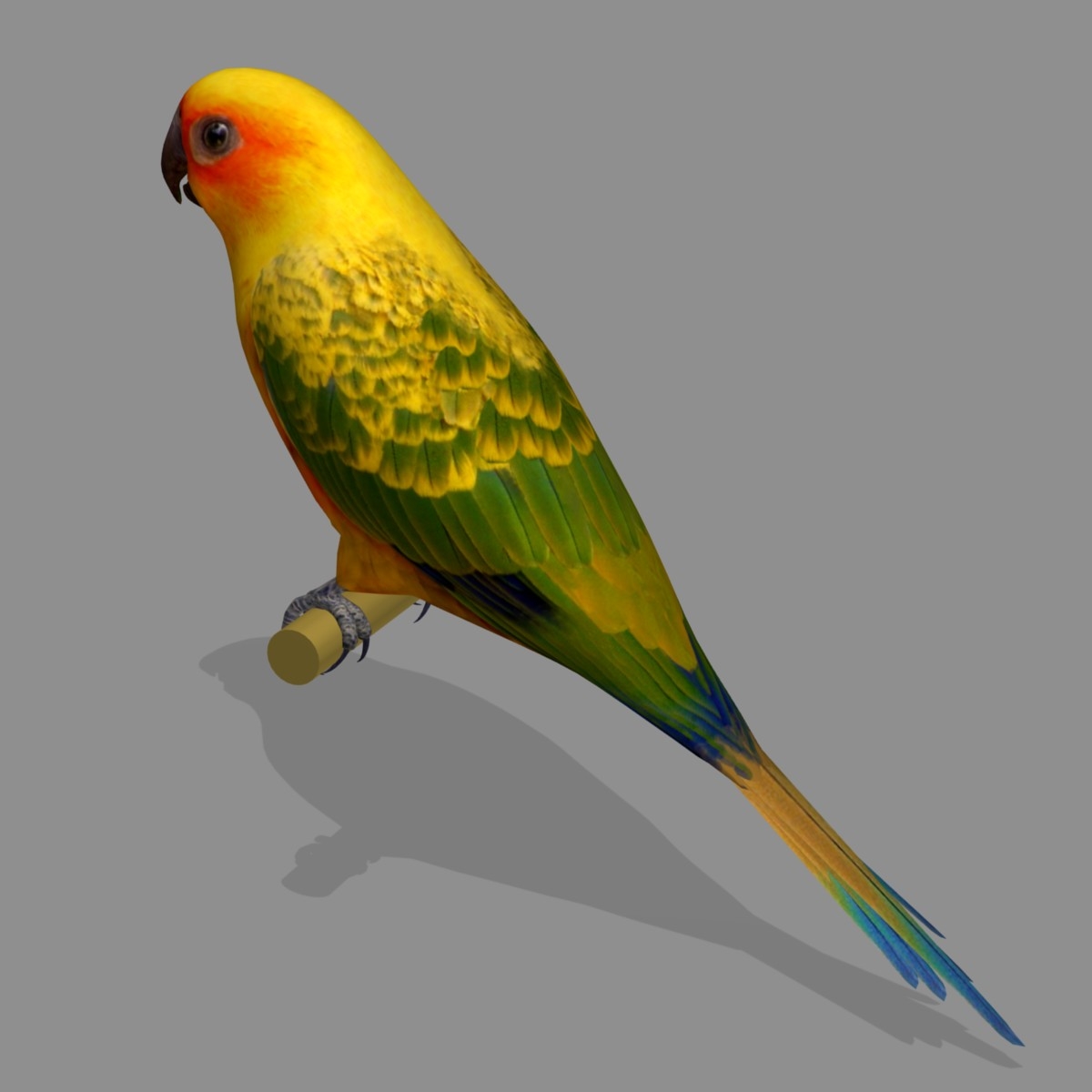 sun parakeet ab 3ds