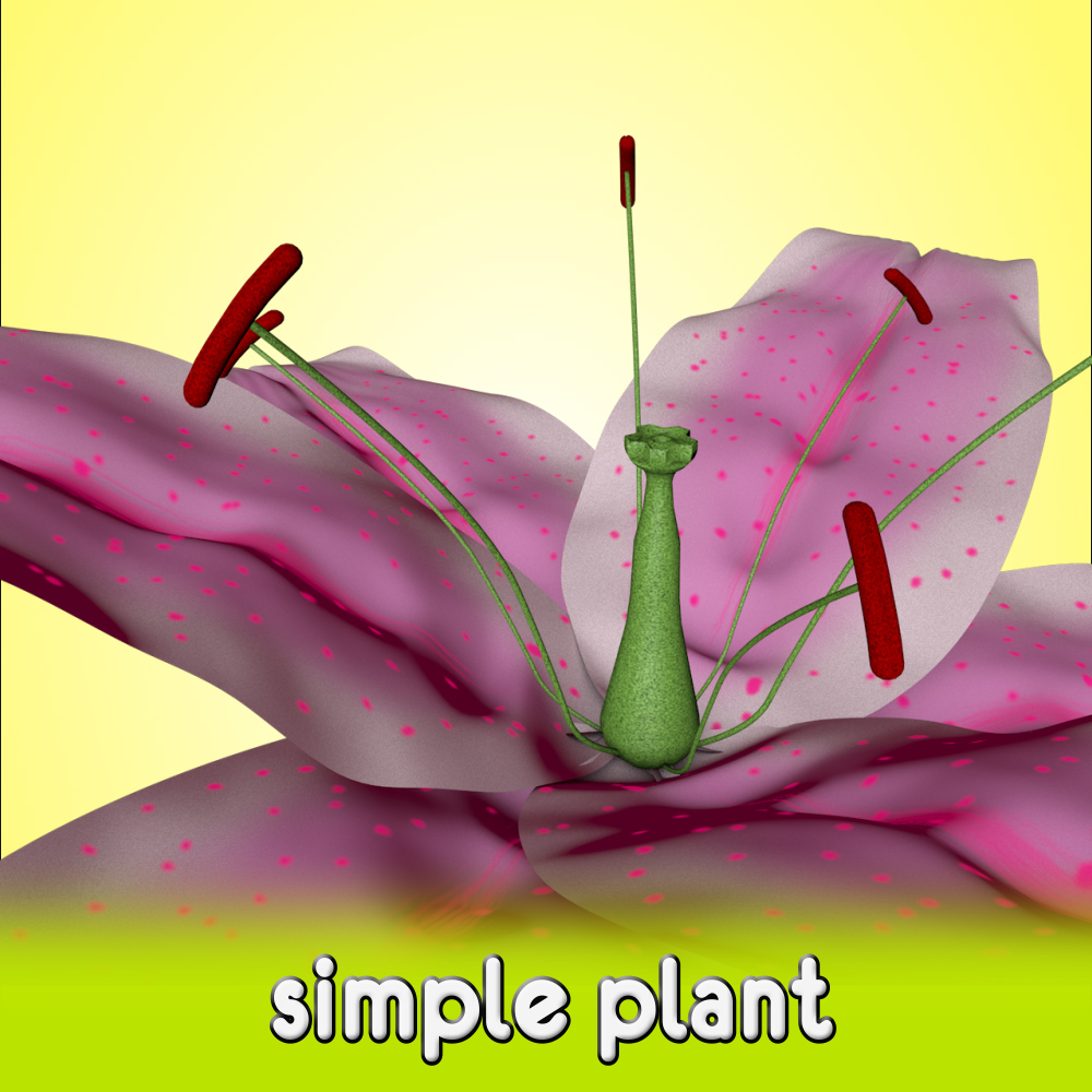 free flower 3d model