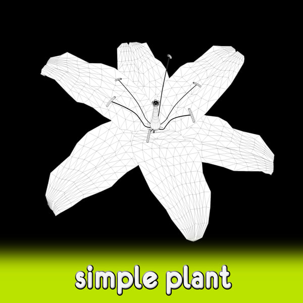 free flower 3d model