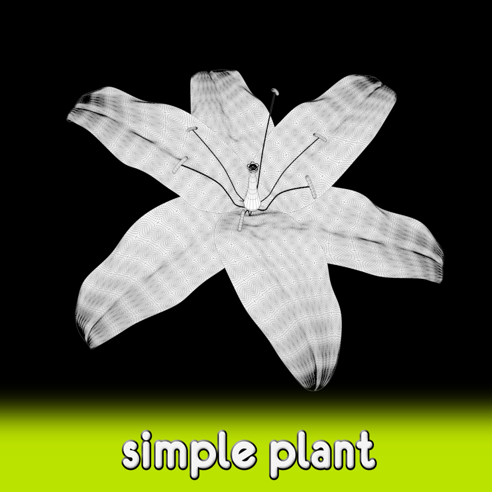 free flower 3d model