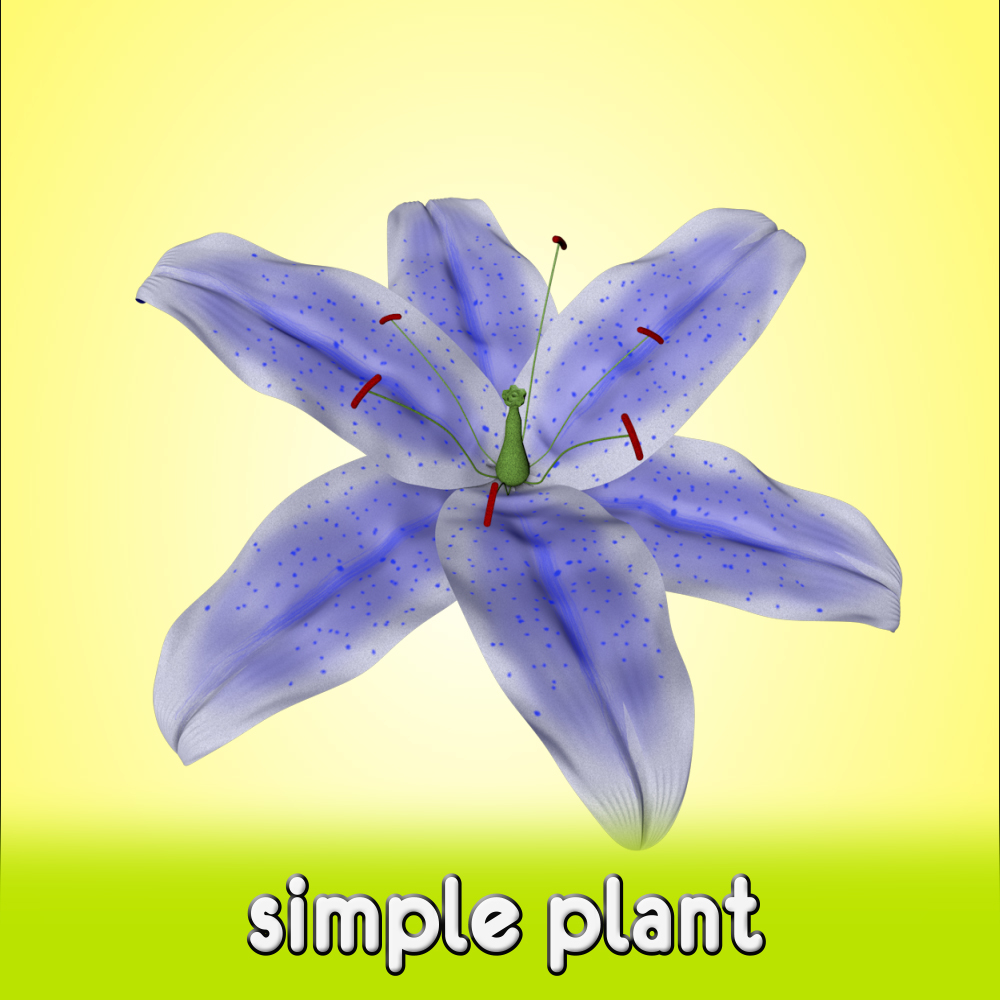 free flower 3d model