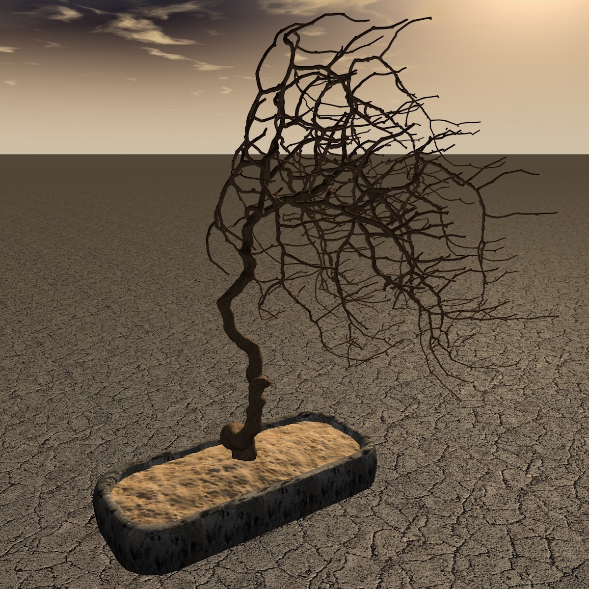 3d model of dry bonsai tree