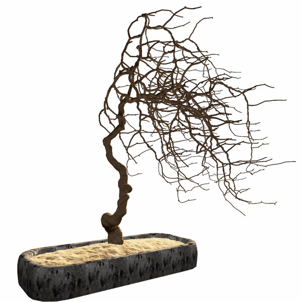 3d model of dry bonsai tree