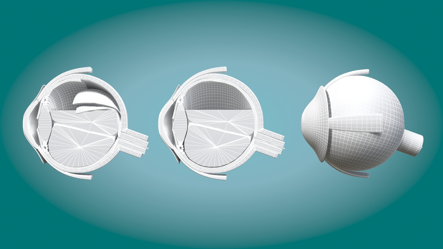 3d model eye